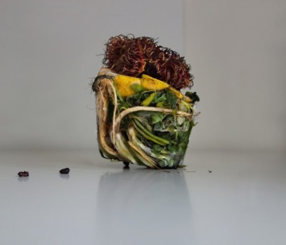 ann-mandelbaum_françoise-paviot - Françoise Paviot